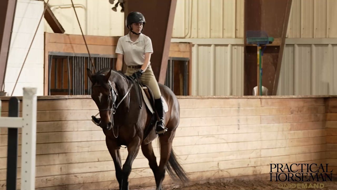 2’ to 2’3” Level – Control Over Fences – Part 2 - Hunters/Equitation ...