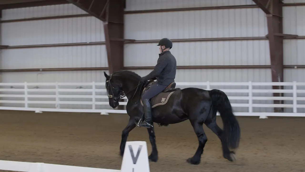 Warmup with a Friesian | Adrienne Lyle - Equestrian+