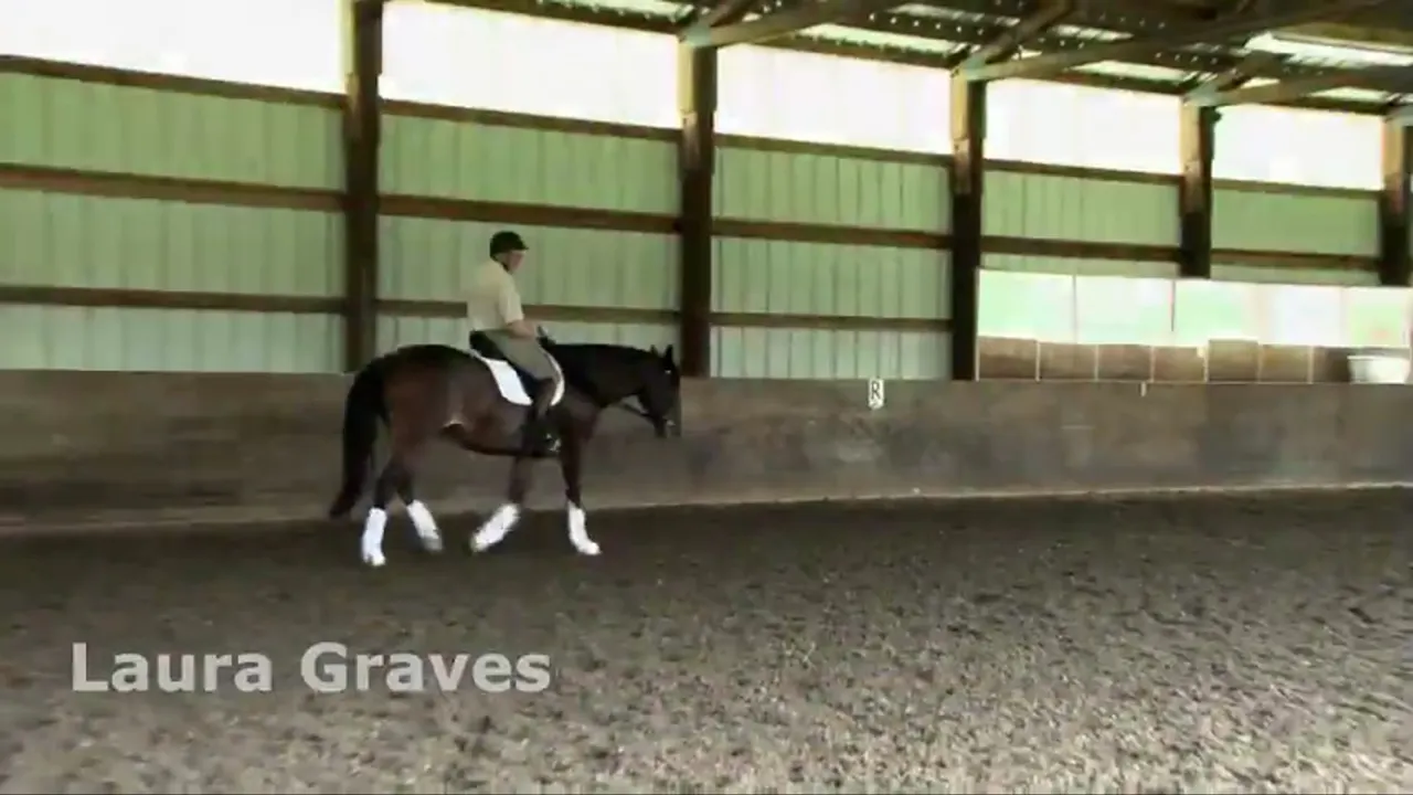 Position of the Ribcage | Laura Graves | PART 02 - Equestrian+