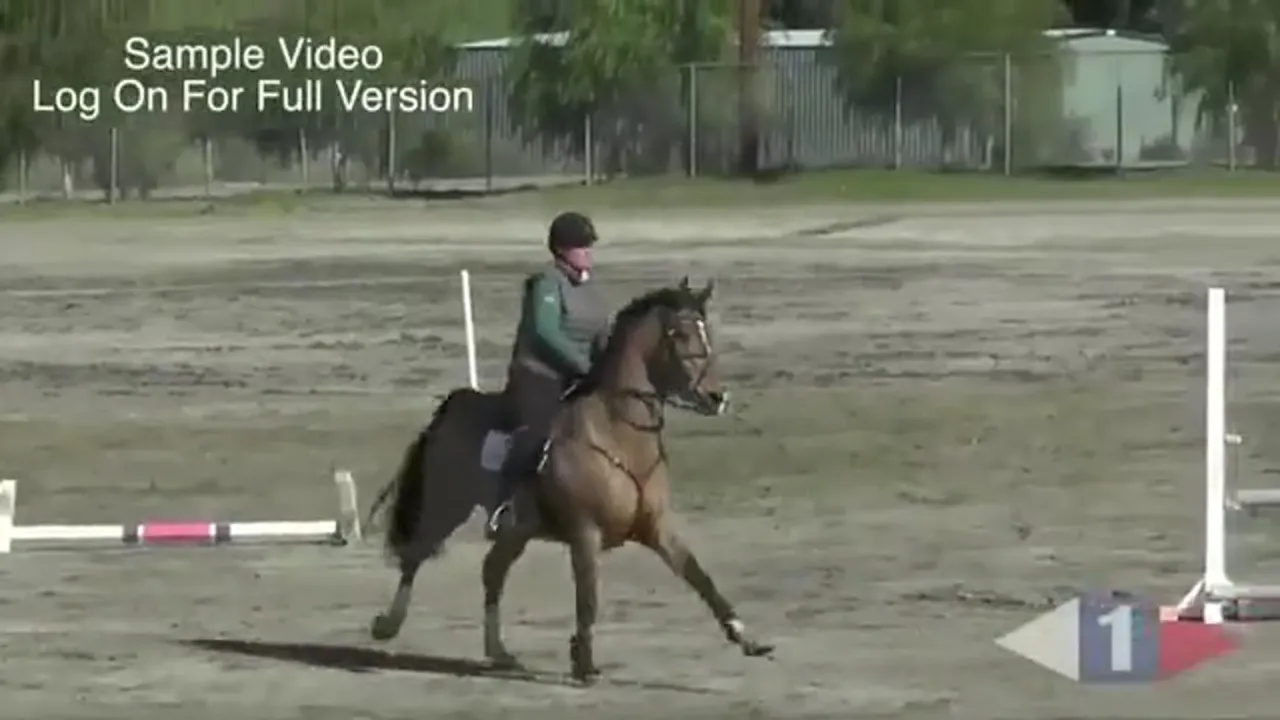 Improving The Jumping Technique Of The Horse - Trailer - Equestrian+