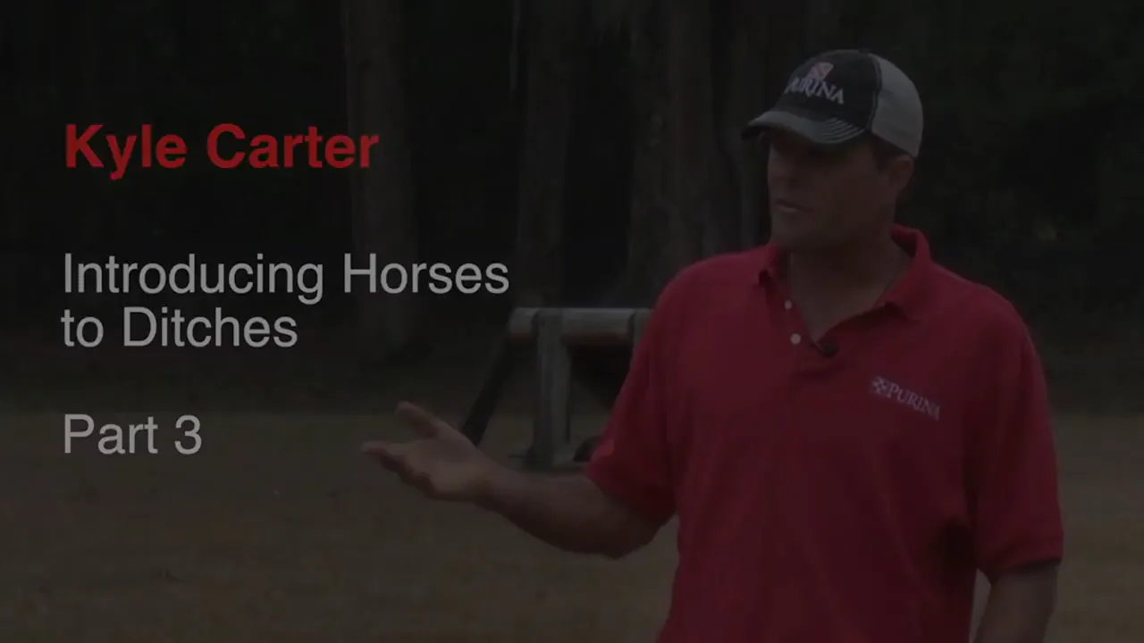 Introducing Horses To Ditches | Kyle Carter | PART 03 - Equestrian+