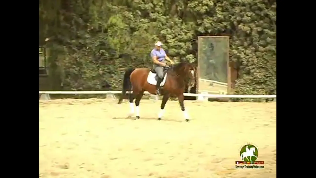 Step by Step GP Ride | Hilda Gurney | PART 02 - Equestrian+
