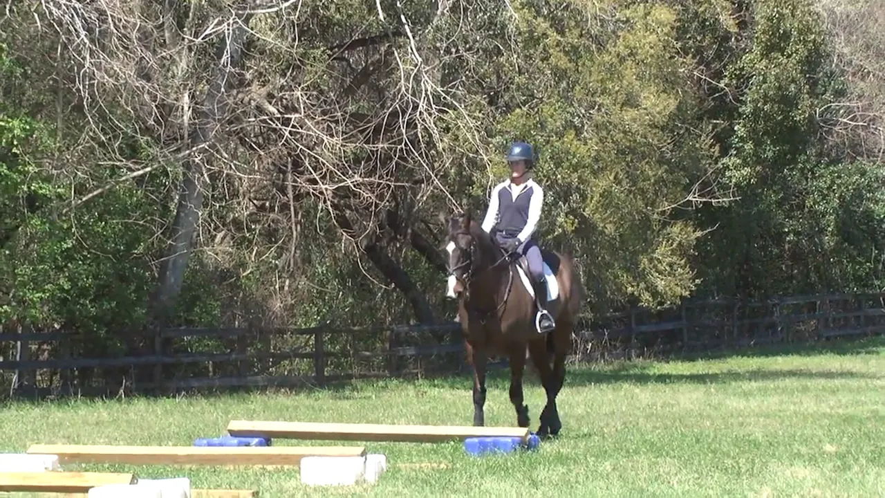 Controlling the Horse's Feet | Buck Davidson - Equestrian+