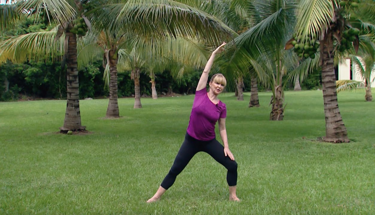 Season 15 Ep.08: Full Body Flexibility - Filter by Level - Essentrics TV