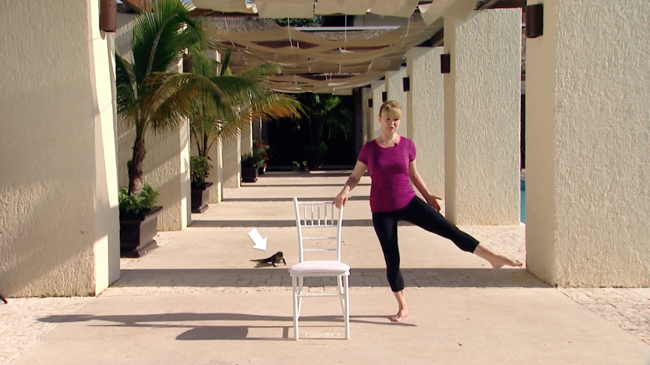 Classical Stretch 25th Anniversary | 25 Years of Bloopers! - Season 1 ...