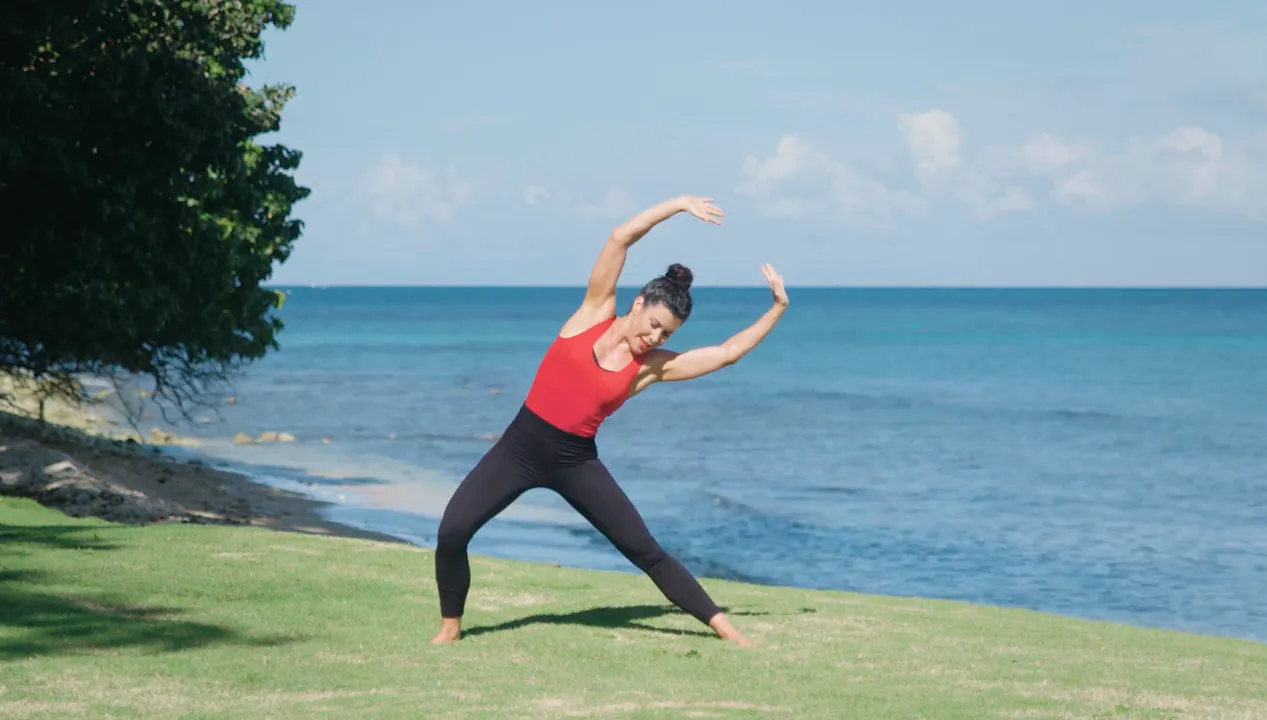 Cardio & Inner Thigh with Meg Feeney - Advanced - Essentrics TV