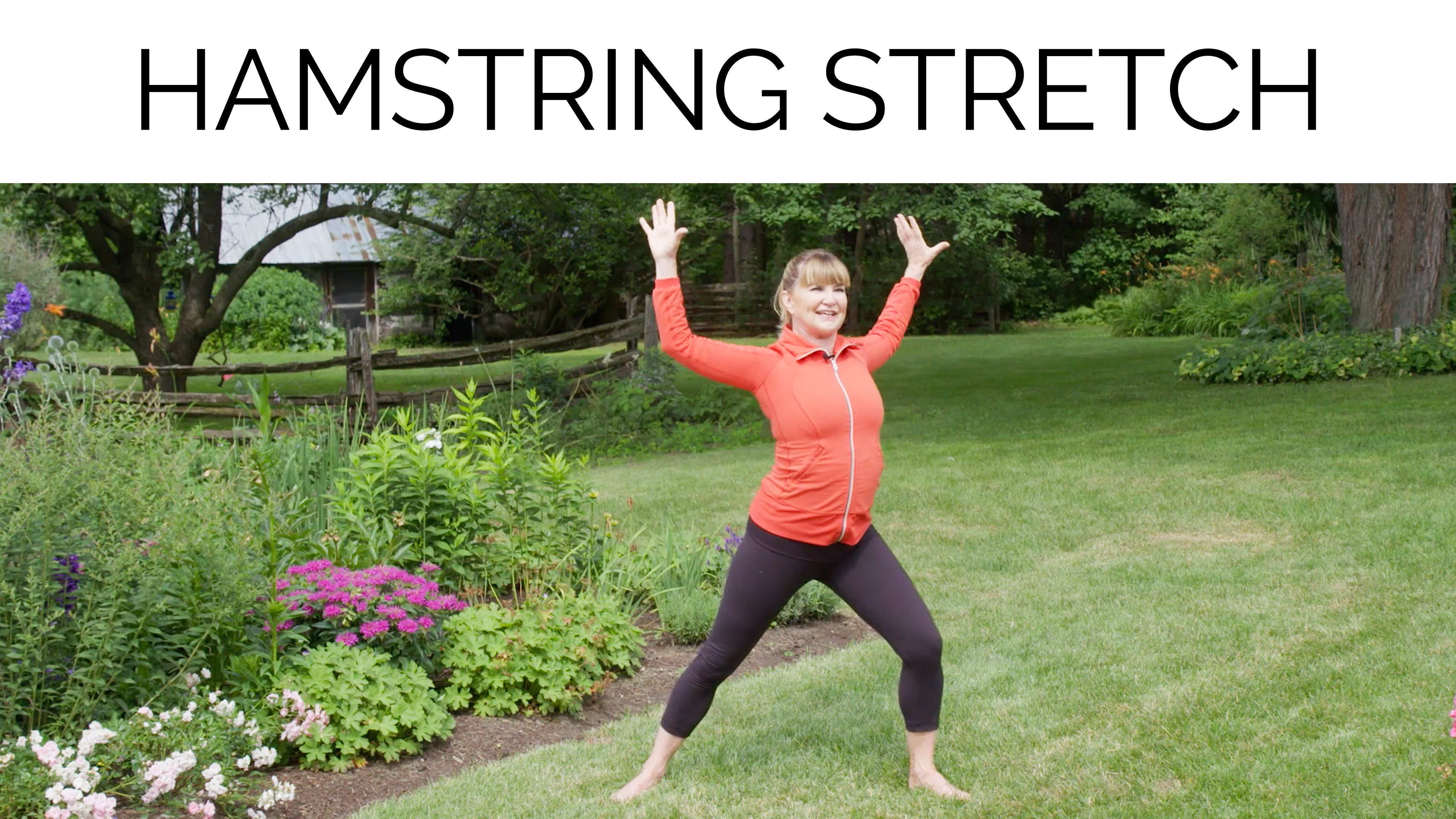 Classical Stretch Season 14: Posture Boost and Back Health - Essentrics TV