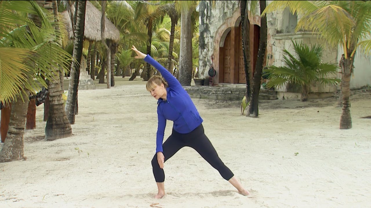 Season 15 Ep.01: Full Body Workout - Filter by Level - Essentrics TV