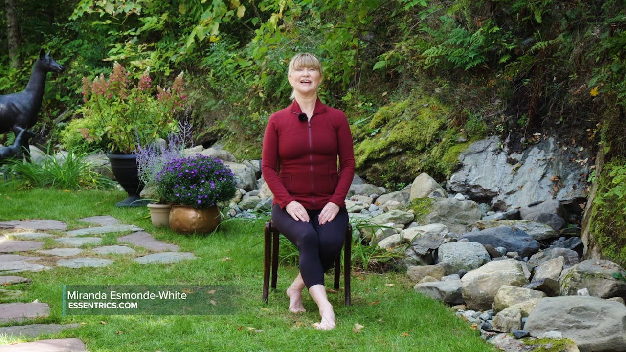 Aging Backwards 4: Beginner Workout 1 - Beginner - Essentrics TV