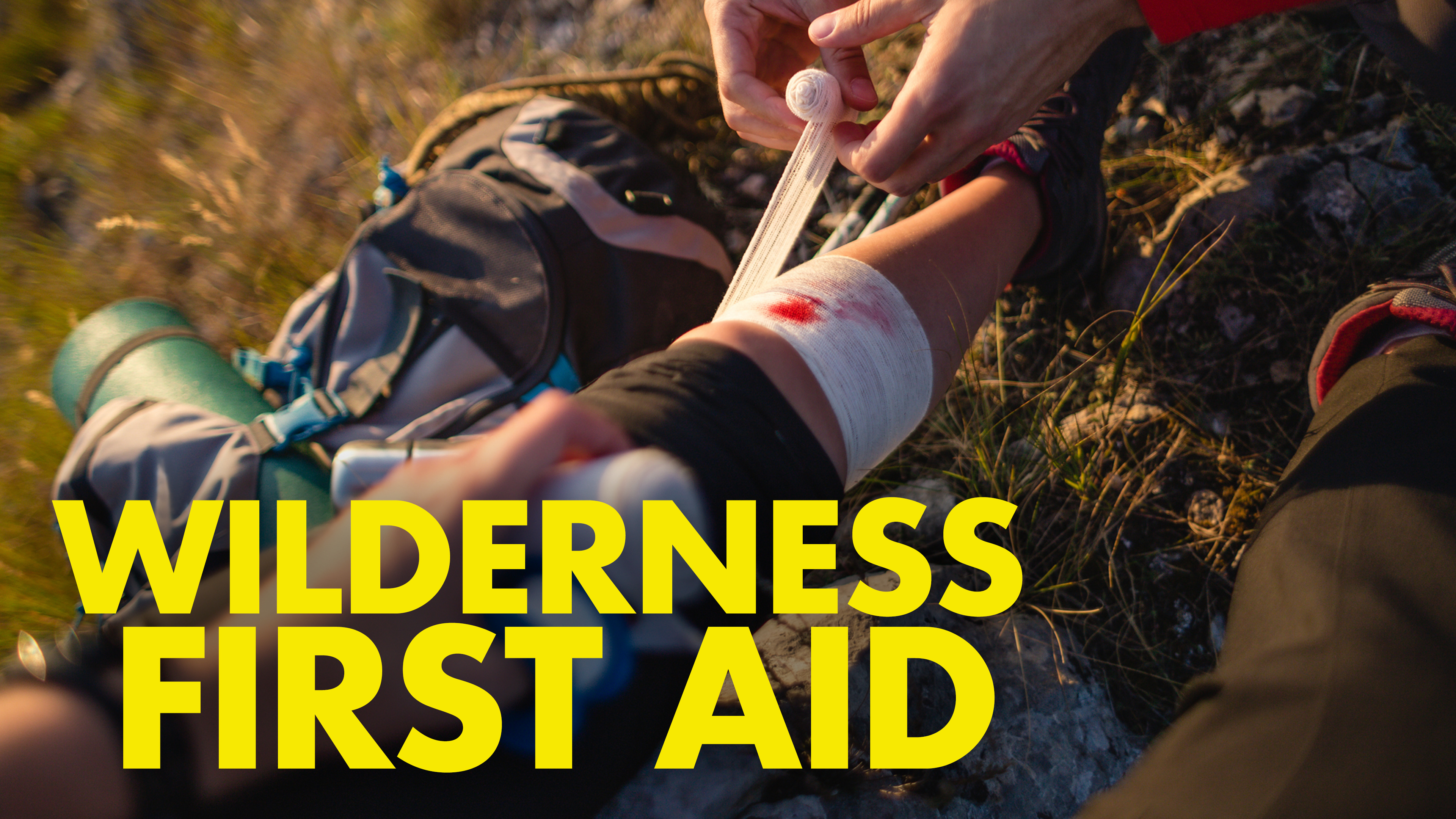 Wilderness First Aid - Fieldcraft Survival