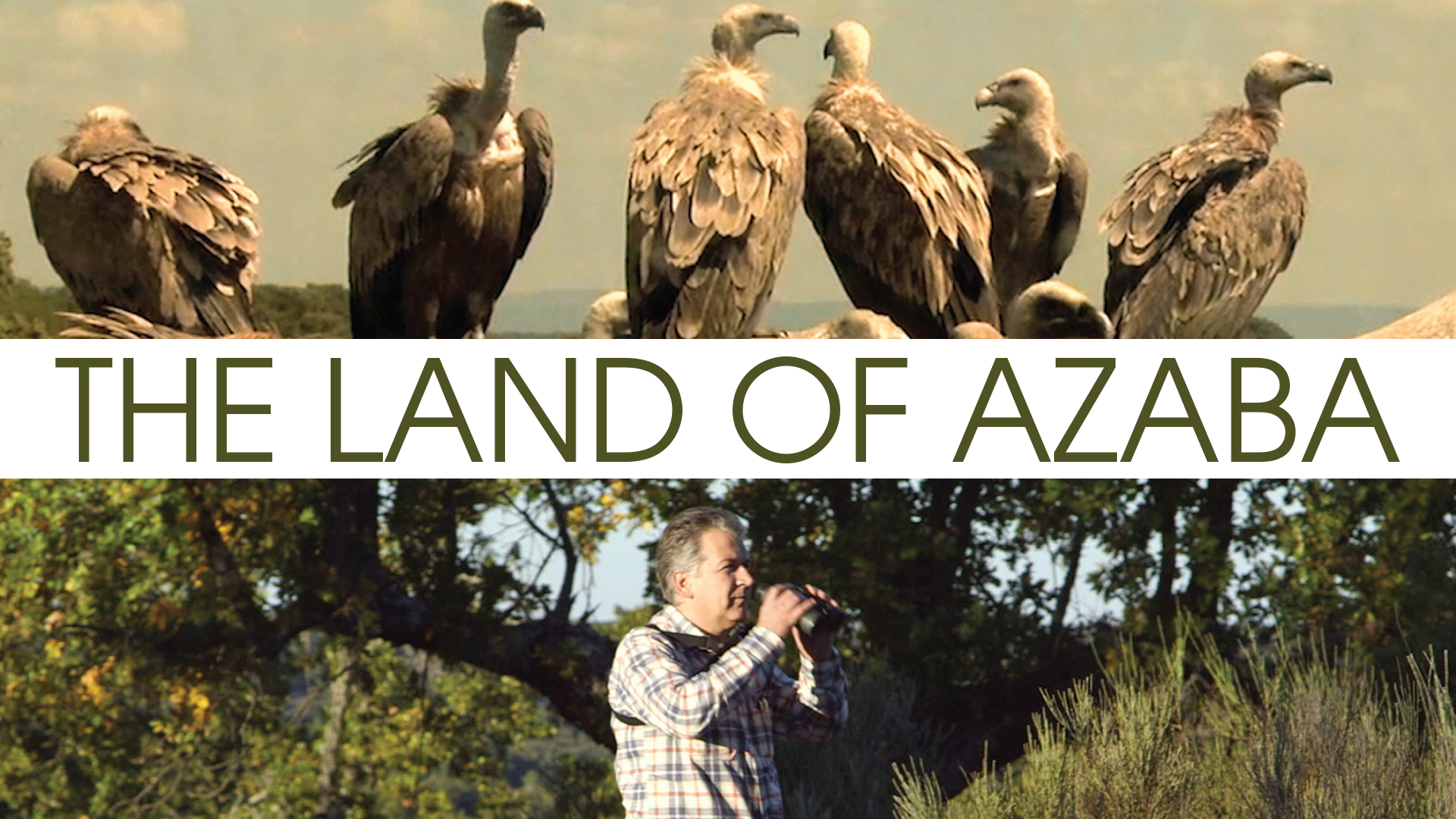 The Land of Azaba - Kino Film Collection