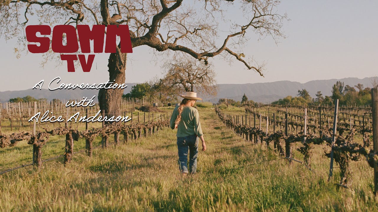A Conversation with Alice Anderson - SOMM TV