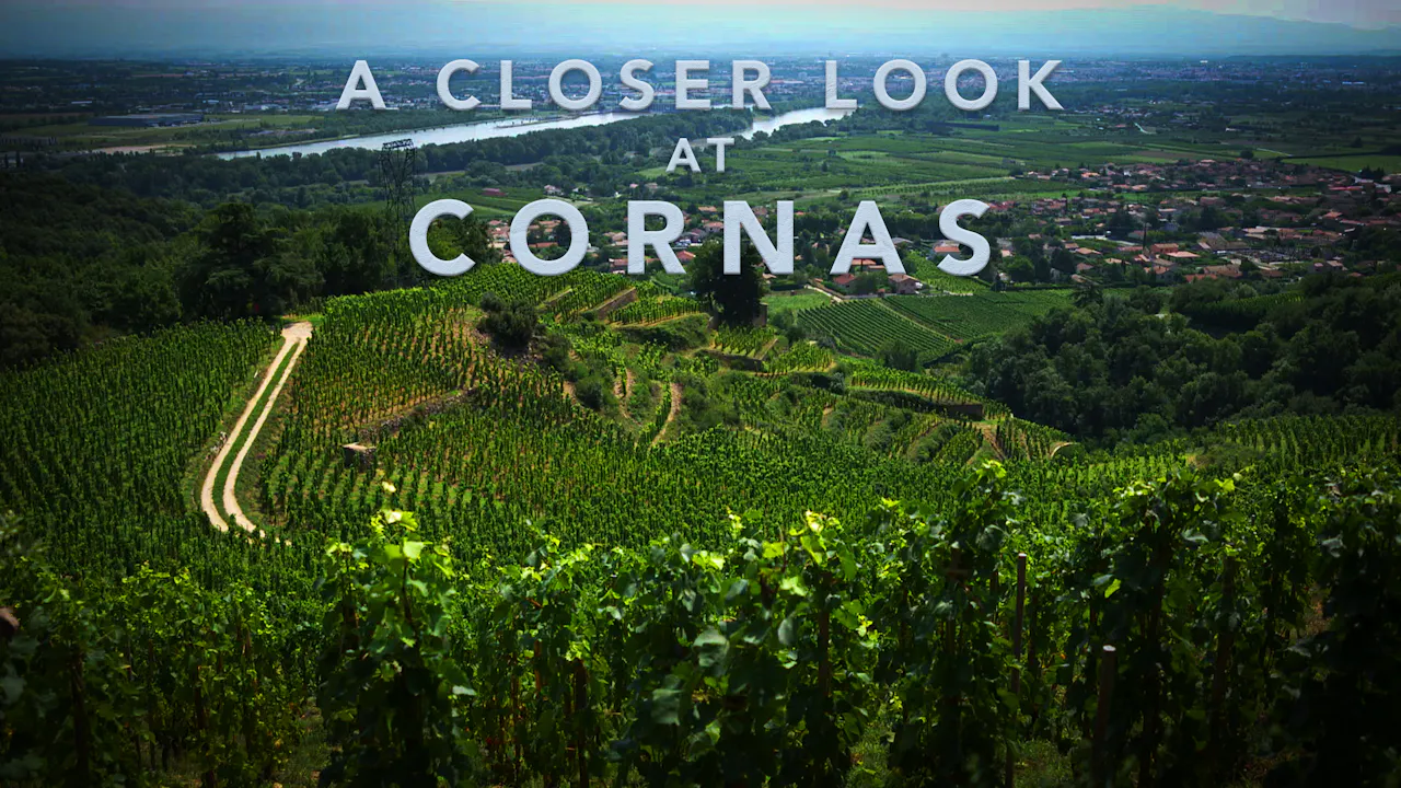 A Closer Look at Cornas - A closer look at the world of wine - SOMM TV
