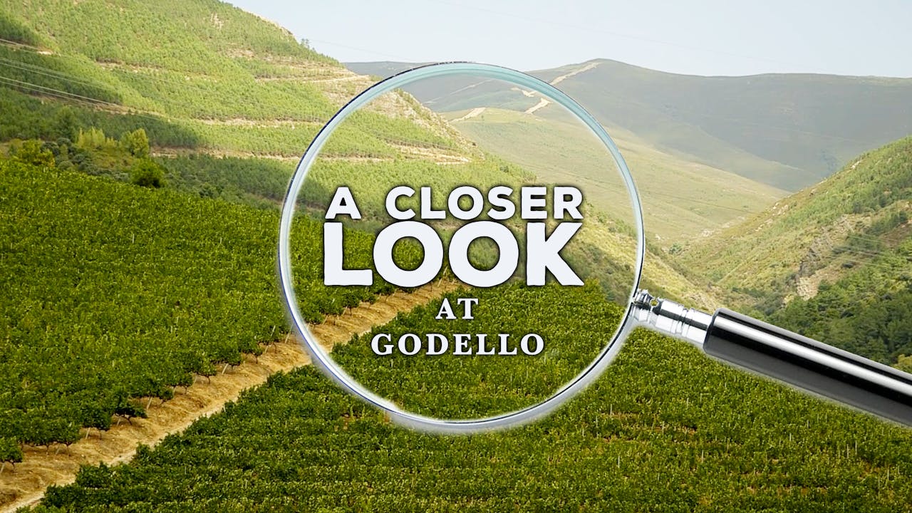 A Closer Look at Godello - A closer look at the world of wine - SOMM TV