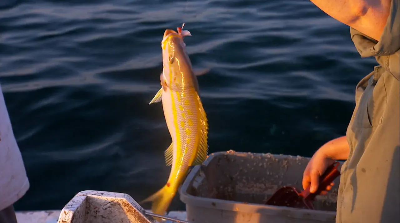 Pitchin' In: Yellow Tail Snapper - Season B - SOMM TV