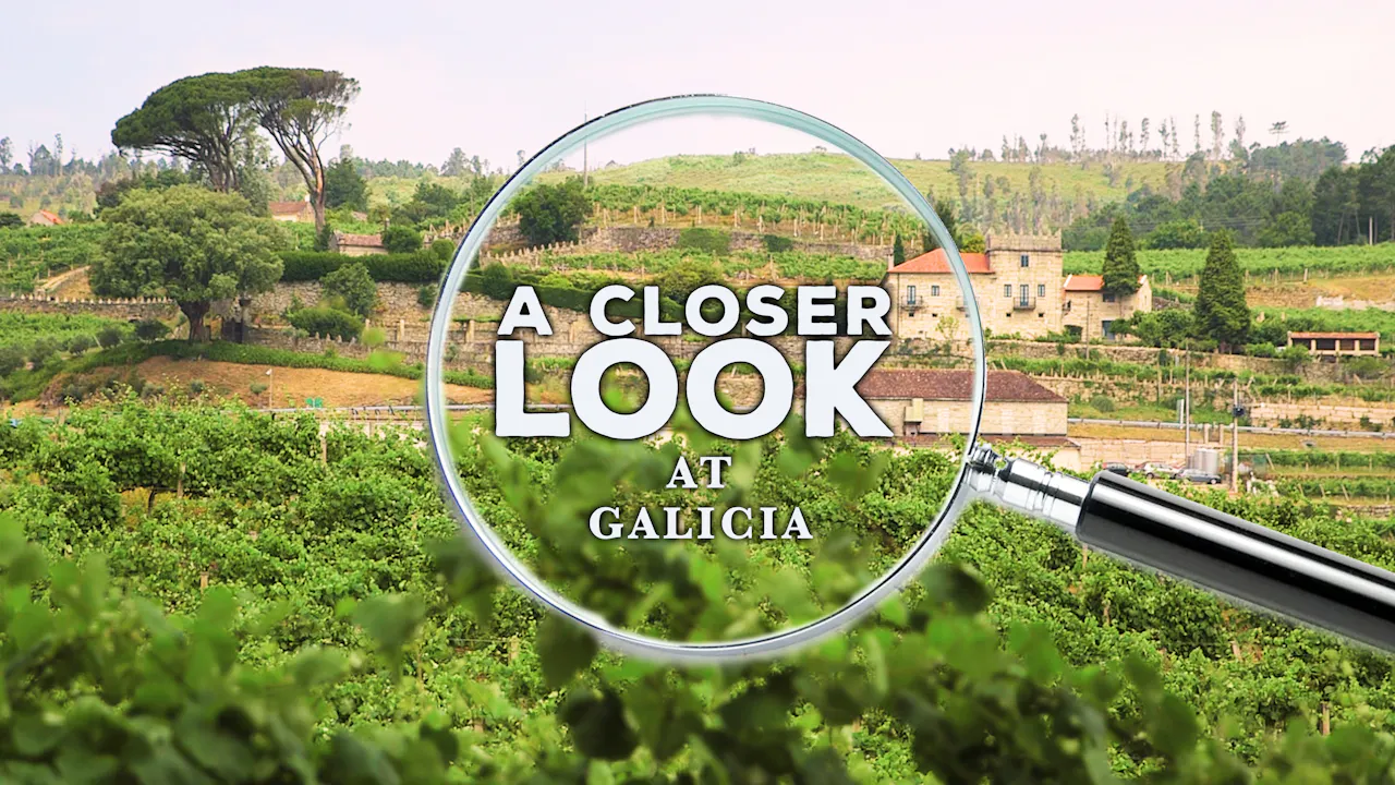 A Closer Look at Galicia - A closer look at the world of wine - SOMM TV