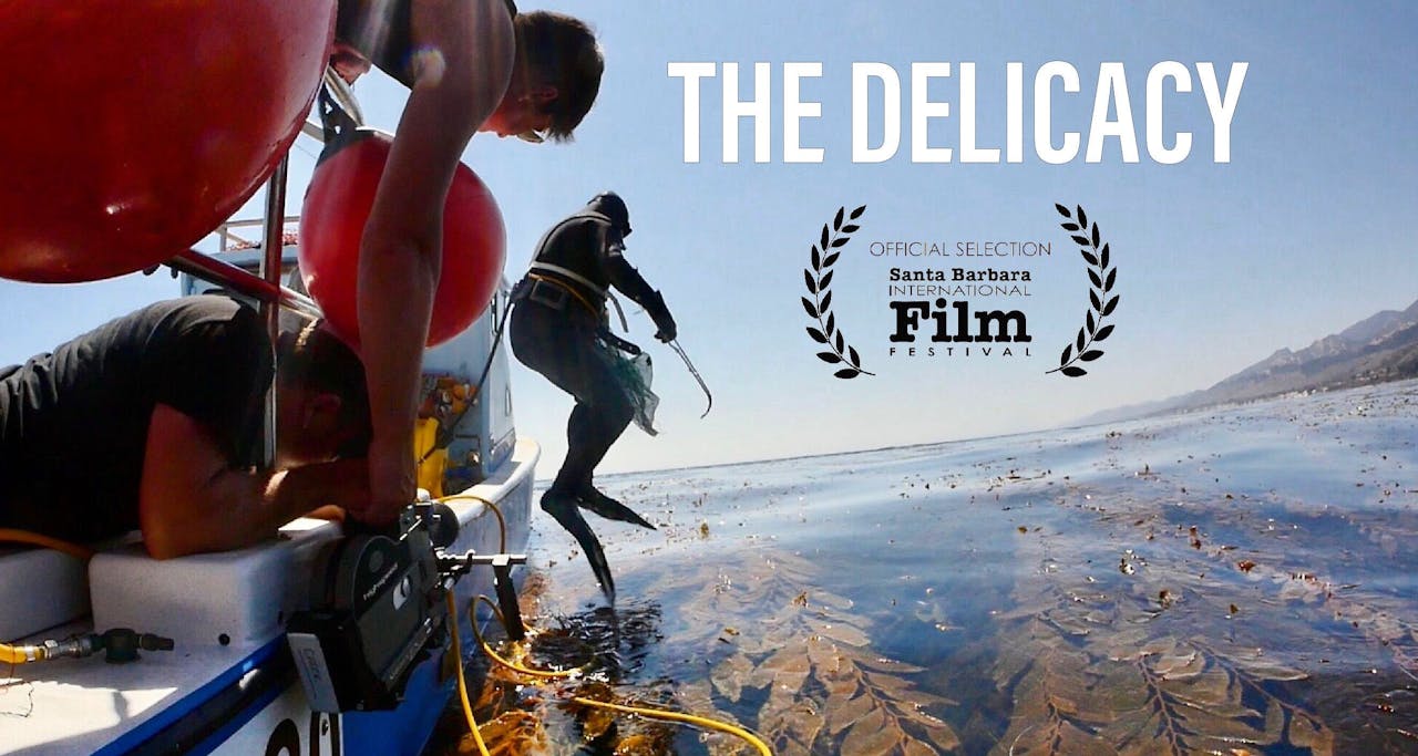 The Delicacy - theatrical trailer - The Delicacy - SOMM TV