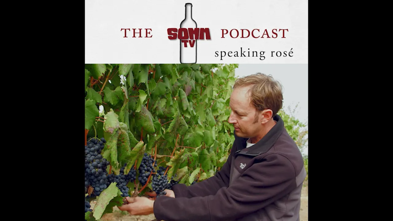 Speaking Rosé - Weekly Episodes - SOMM TV
