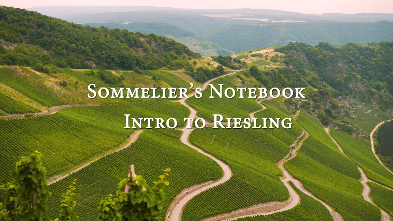 An Intro to Riesling - Sommelier's Notebook - SOMM TV