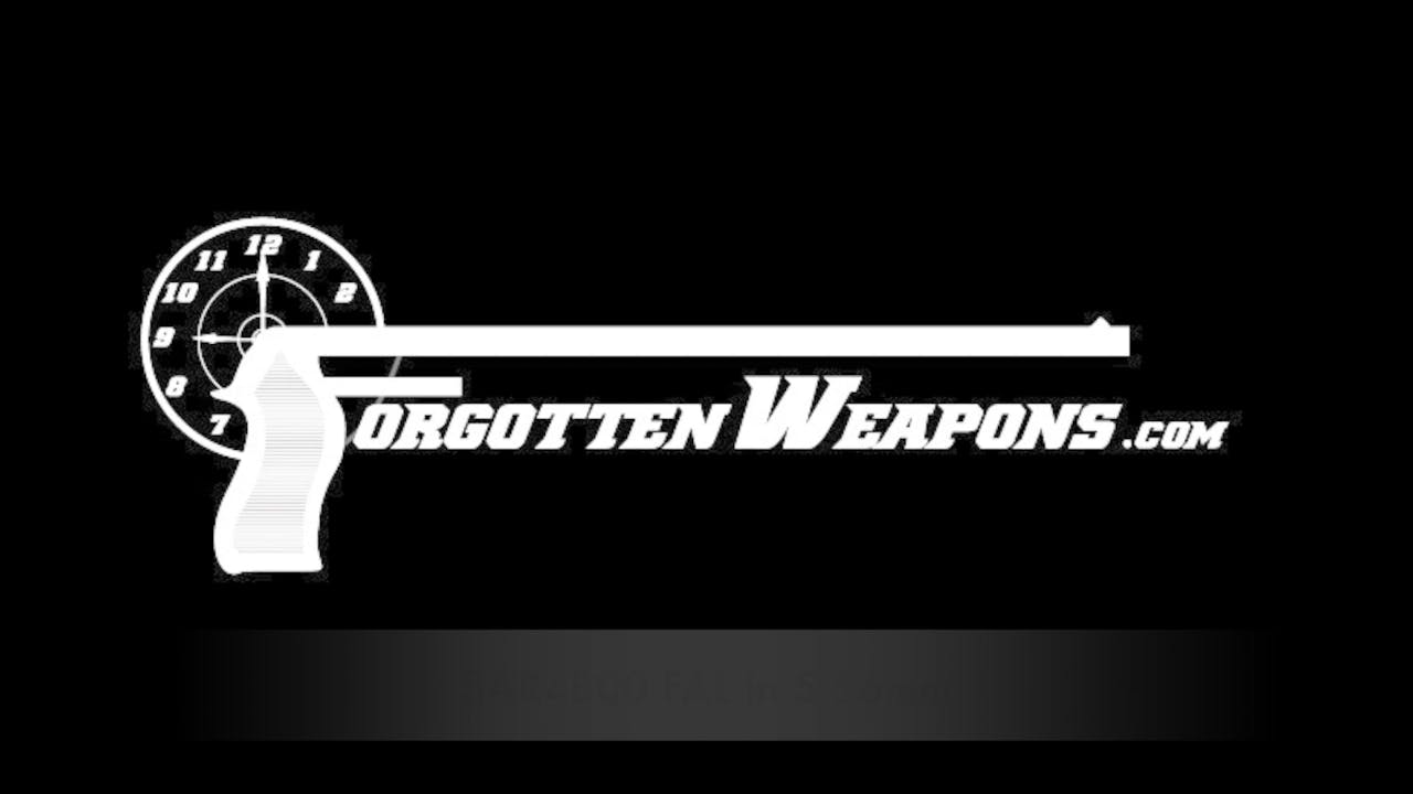 Springfield’s SAR-4800 FAL…in 5.56mm - History of Weapons & War