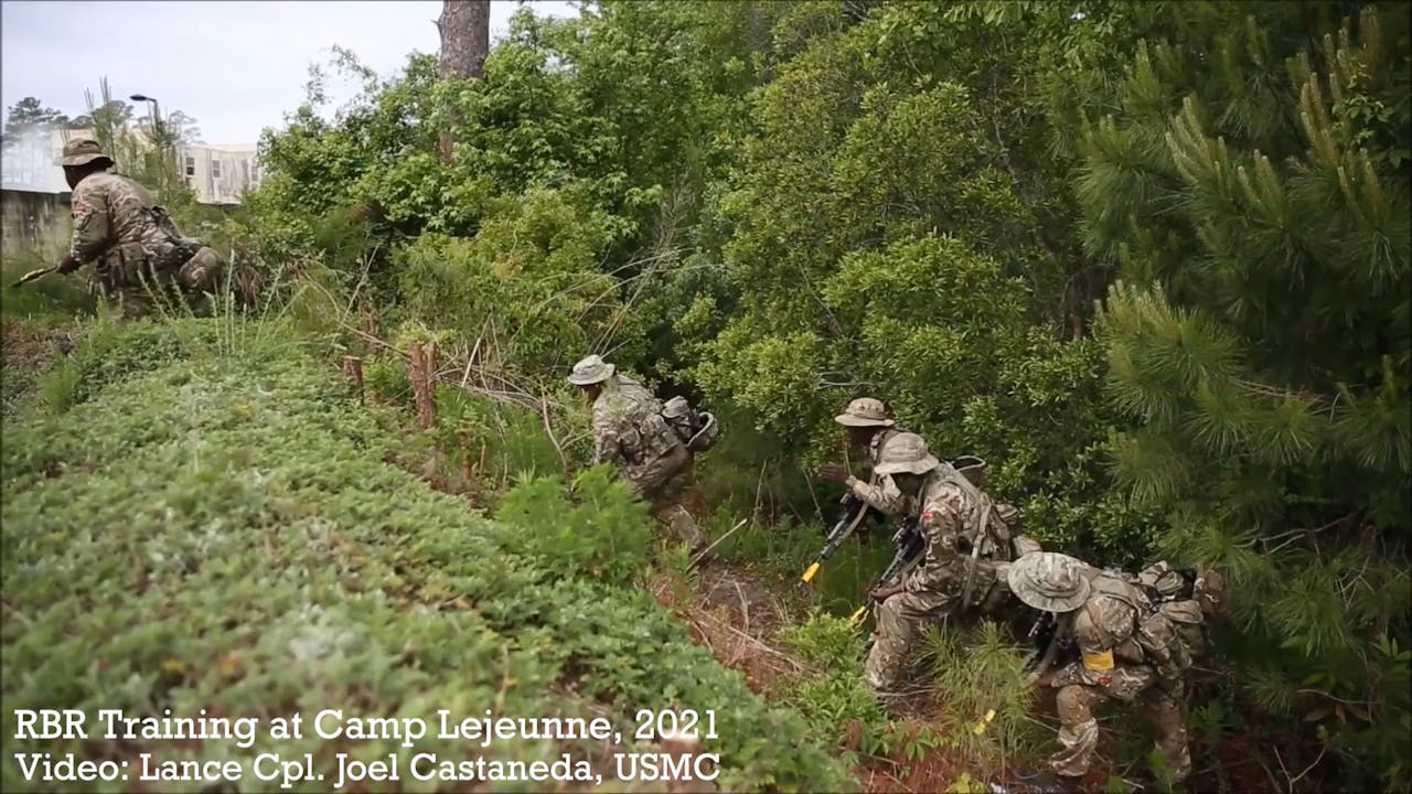The Mini-14 - The Royal Bermuda Regiment's Service Rifle - History of ...