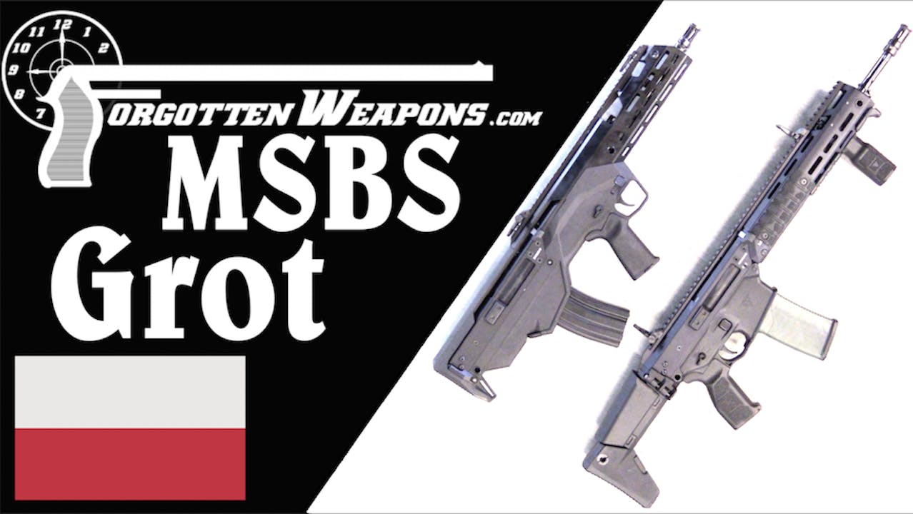 MSBS Grot: The Complete History of Poland's New Army Rifle - History of ...