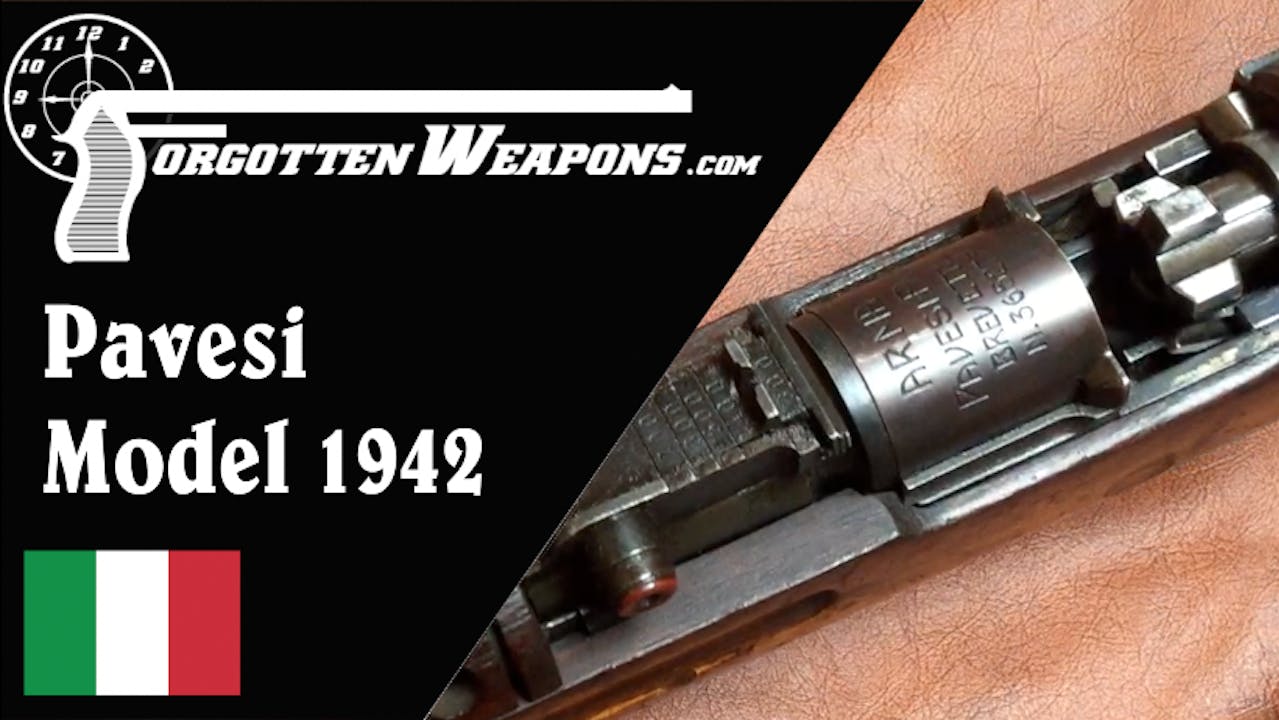 Pavesi Prototype SVT Copy - History of Weapons & War
