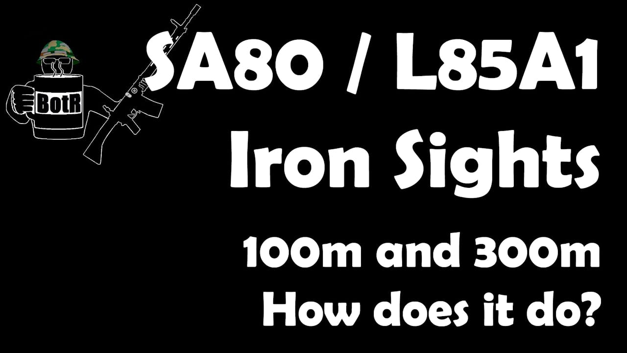 SA80 / L85A1 5.56mm/.223: Iron Sights At 100 And 300m. Includes M16A1 ...