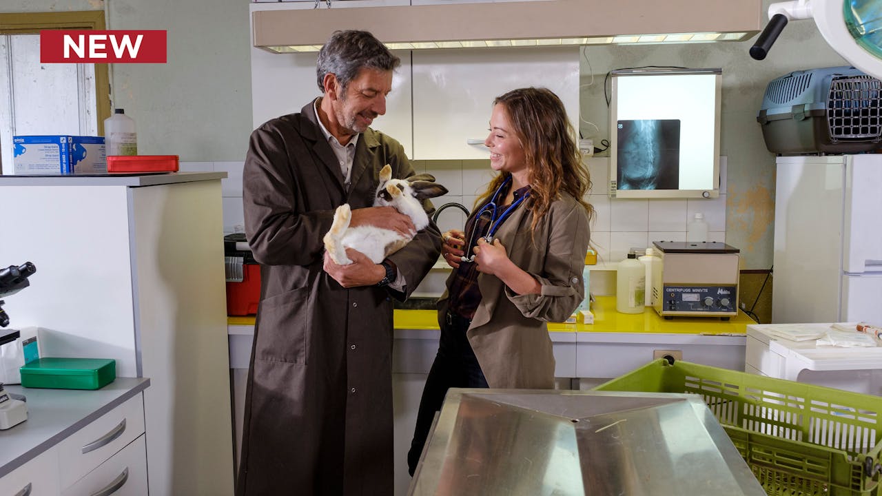 The Doc and the Vet: The Doc and the Vet - Season 1 - MHz Choice