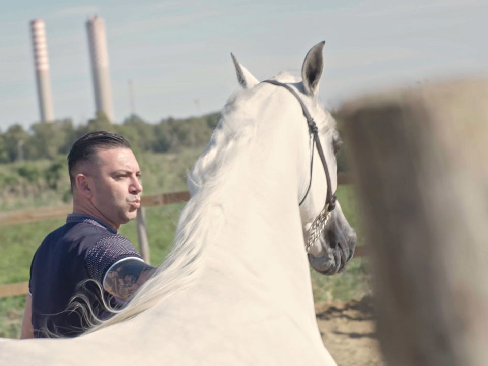 Italy Sicily Gela: Michael - Season 1 - MHz Choice