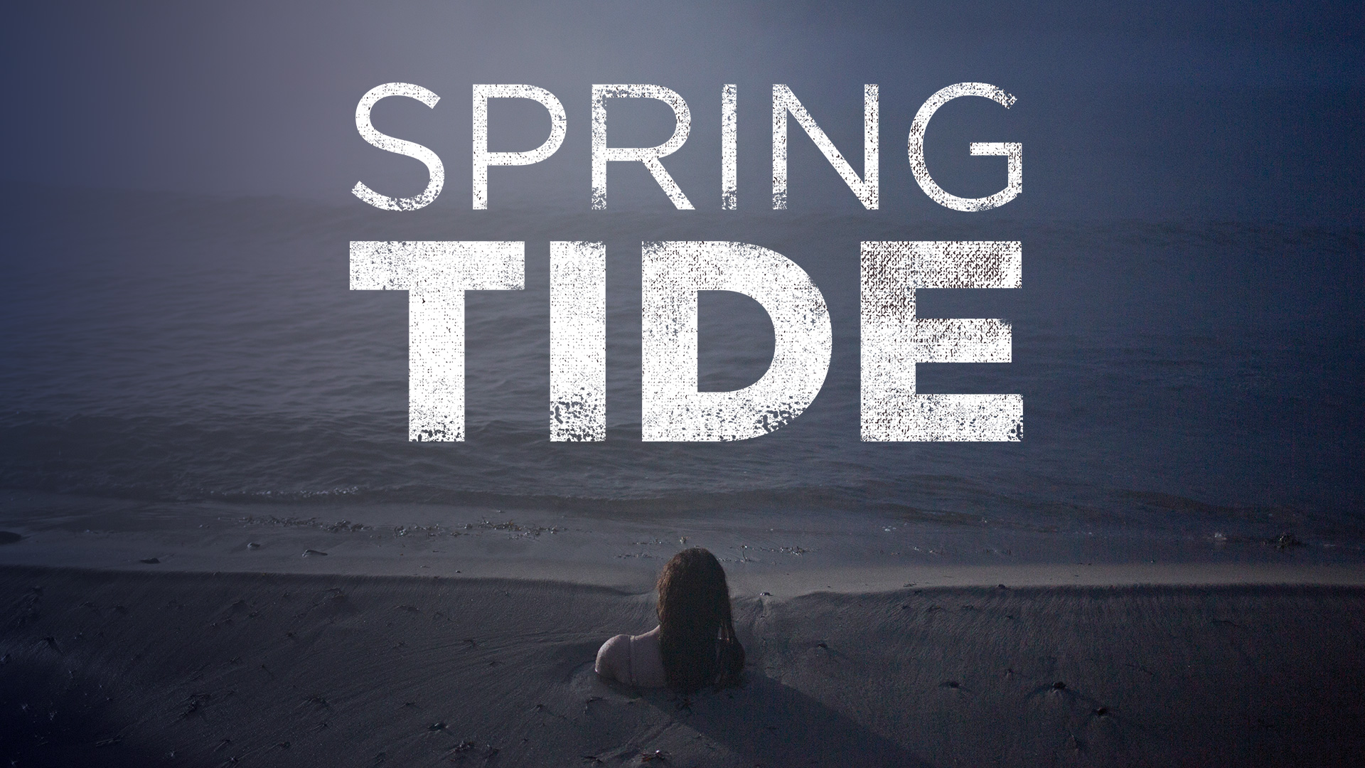 Nordic Noir - MHz Choice