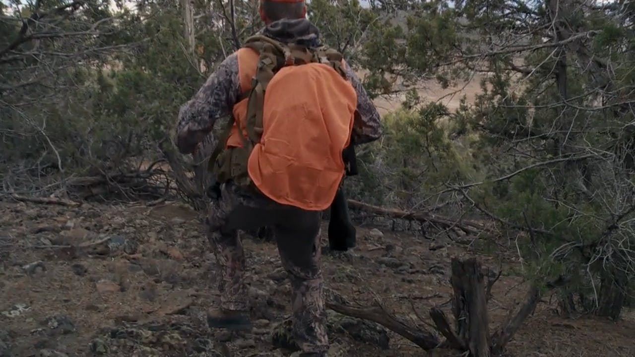 Fresh Tracks: Season 1, Episode 6 - Colorado Mule Deer - Randy Newberg ...