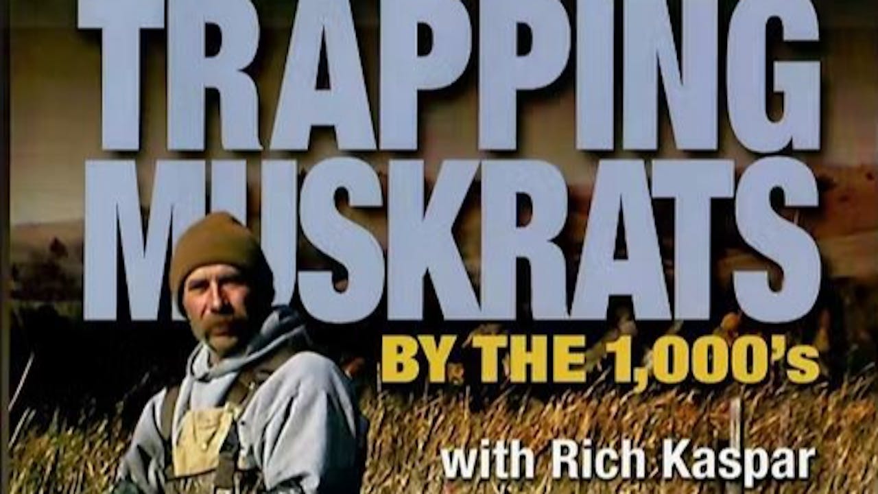 Trapping Muskrats By The 1000s with Rich Kaspar - Fur Taker TV ...