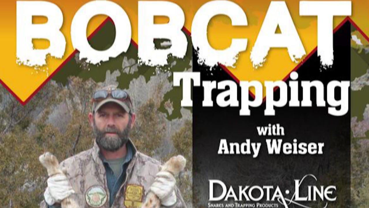 Bobcat Trapping with Andy Weiser - Fur Taker TV Streaming Videos - Fur Taker TV