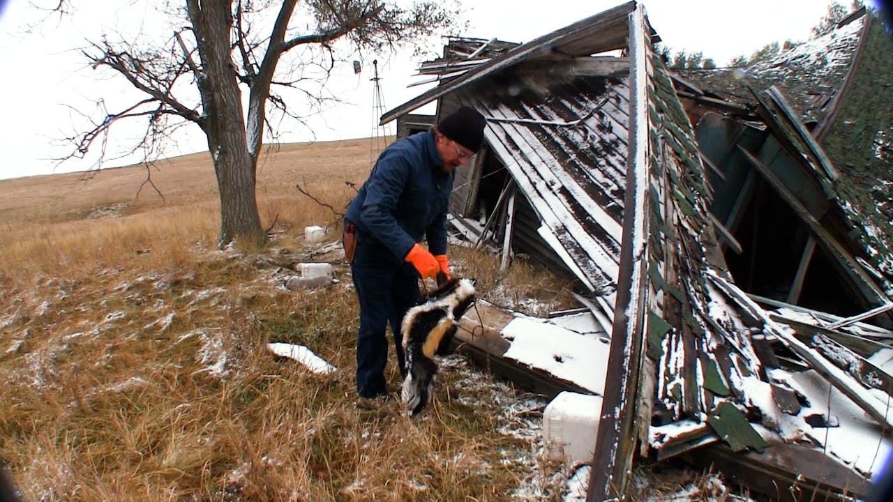Wiebe Trapline Adventures S2/E8 - Mark Steck & Red O’Hearn skunk line 2 ...