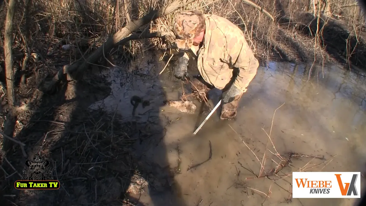 118 Red O beaver and otter catch, not all coons are movie stars, - Fur ...