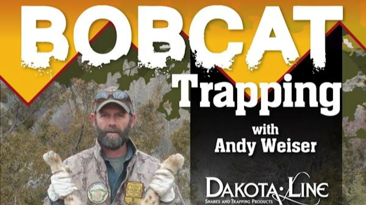 Trailer ~ Bobcat Trapping with Andy Weiser - FREE Video Previews - Fur ...