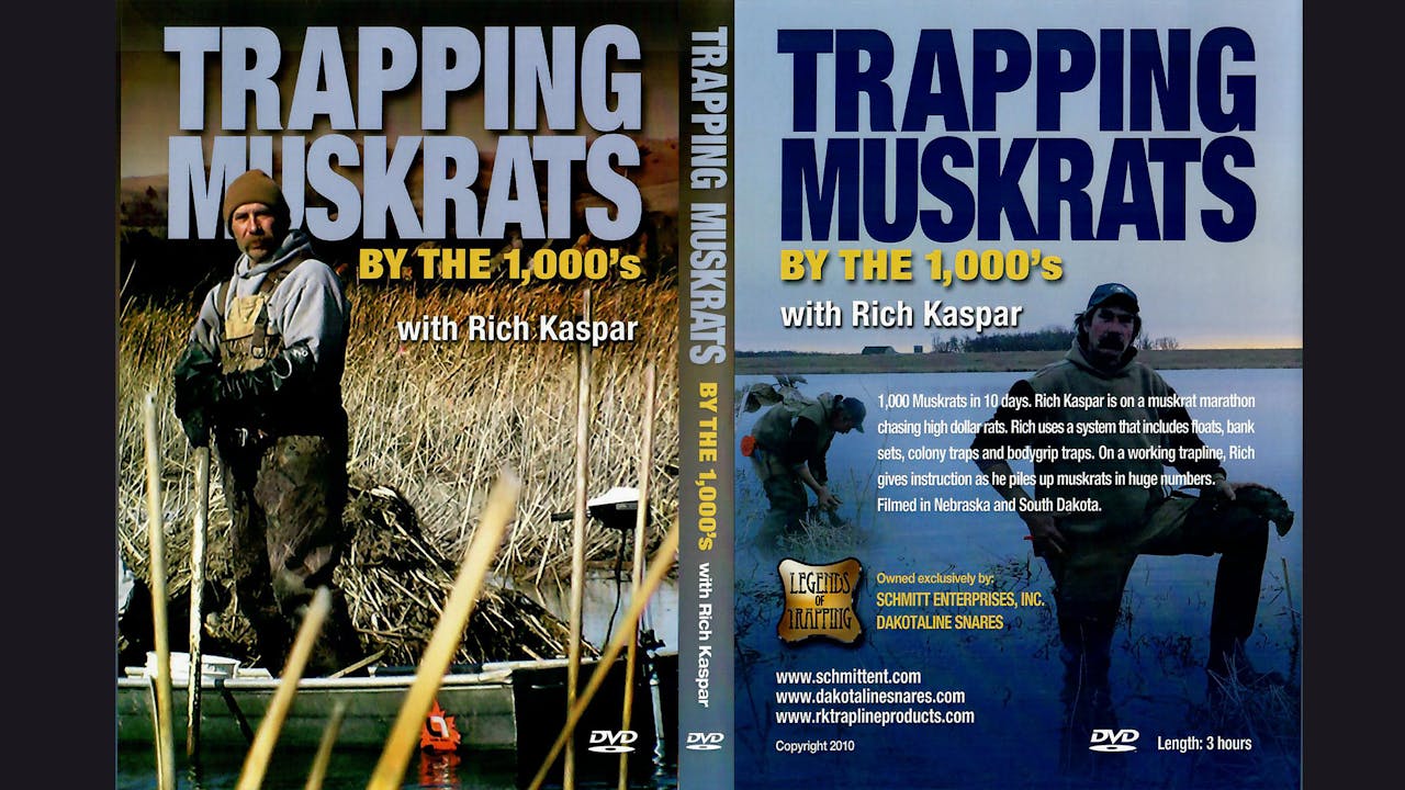 Trailer: Trapping Muskrats By The 1000s with Rich Kaspar - FREE Video ...