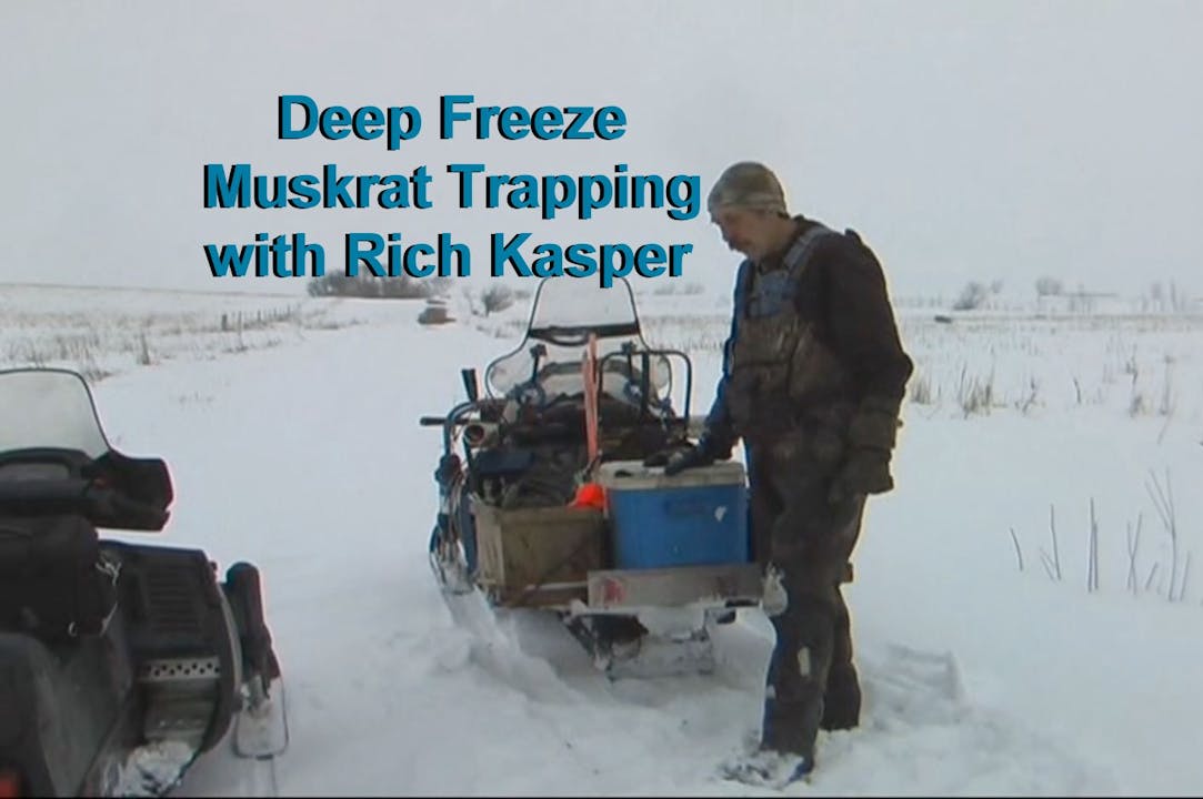 Deep Freeze Muskrat Trapping with Rich Kasper - Fur Taker TV Streaming ...