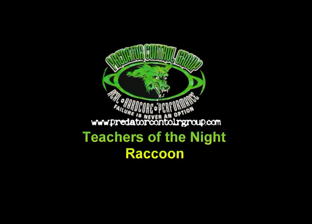 Teachers of the Night - Raccoon - Full Length Trapping Videos - Fur ...