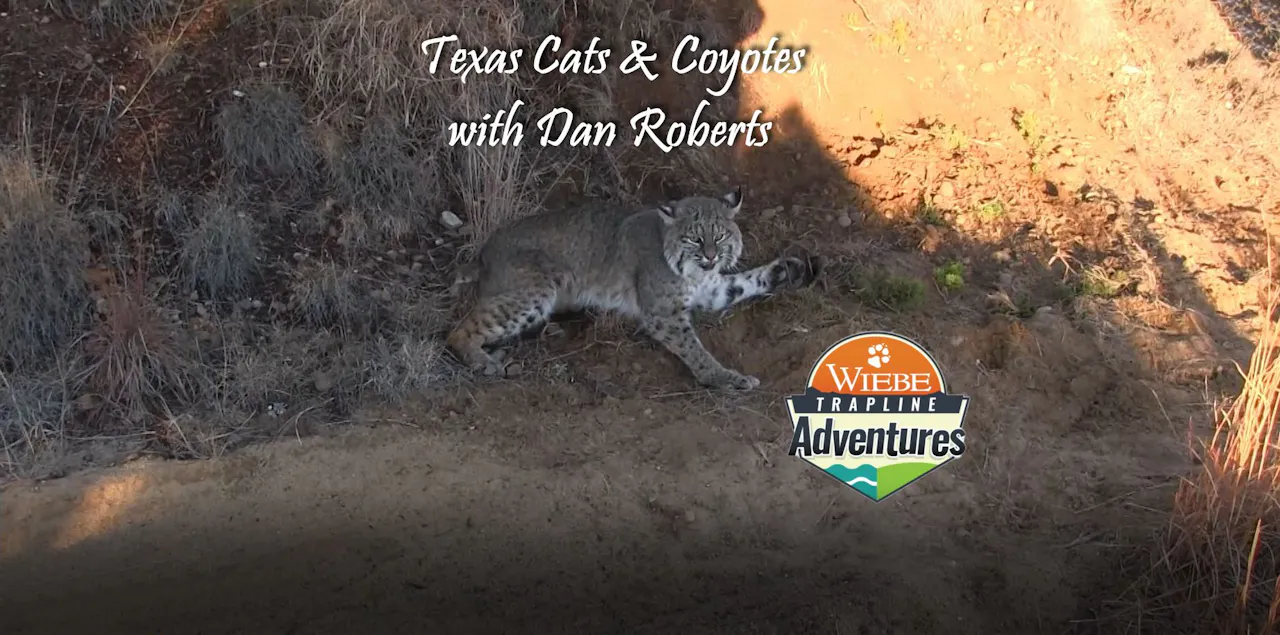 Trailer-Texas Cats & Coyotes with Dan Roberts - FREE Video Previews ...