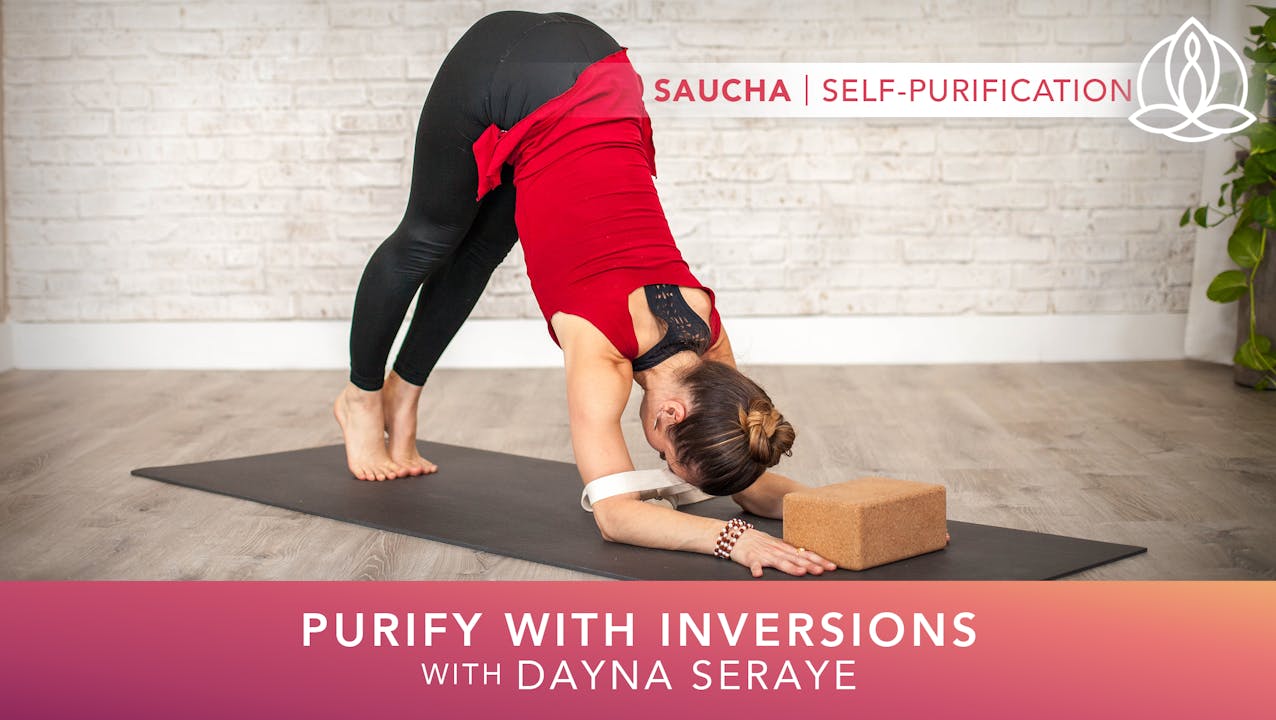 Yoga Every Day: Purify with Inversions - Yoga Every Day: Season 19 - Gaiam TV Fit Yoga