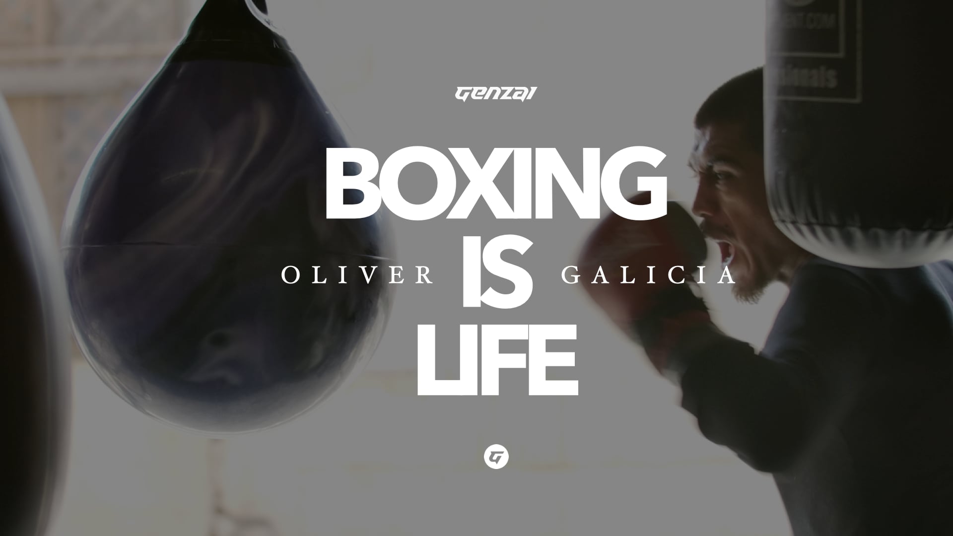 SPECIAL FEATURES - GENZAI