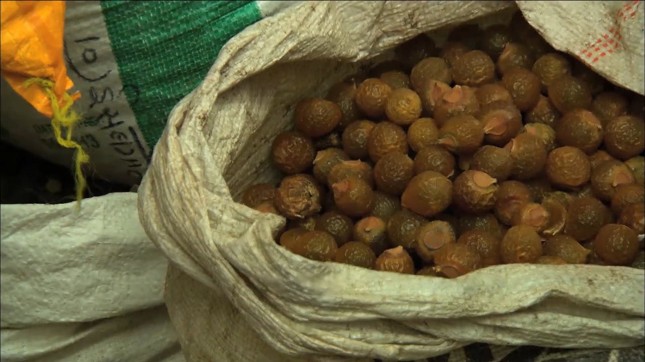 Story of Spice - Pilot Guides