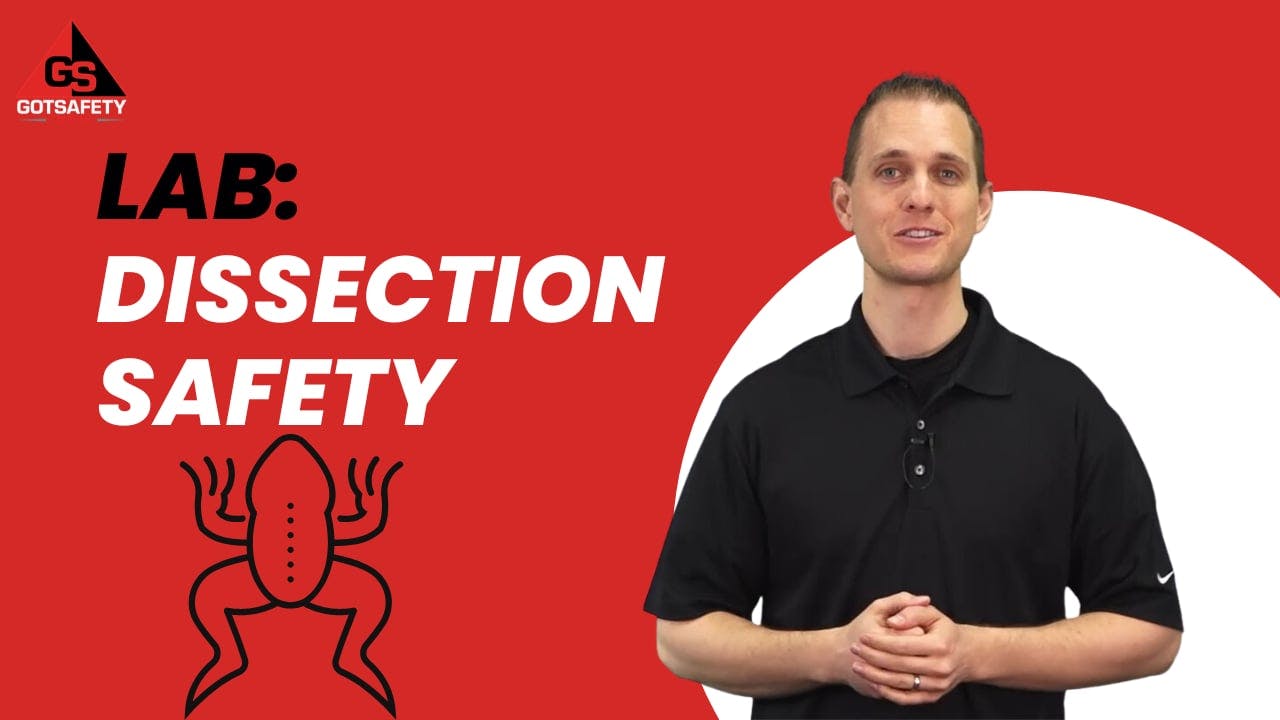 Lab: Dissection Safety - GotSafety Lite | Safety Video Streaming