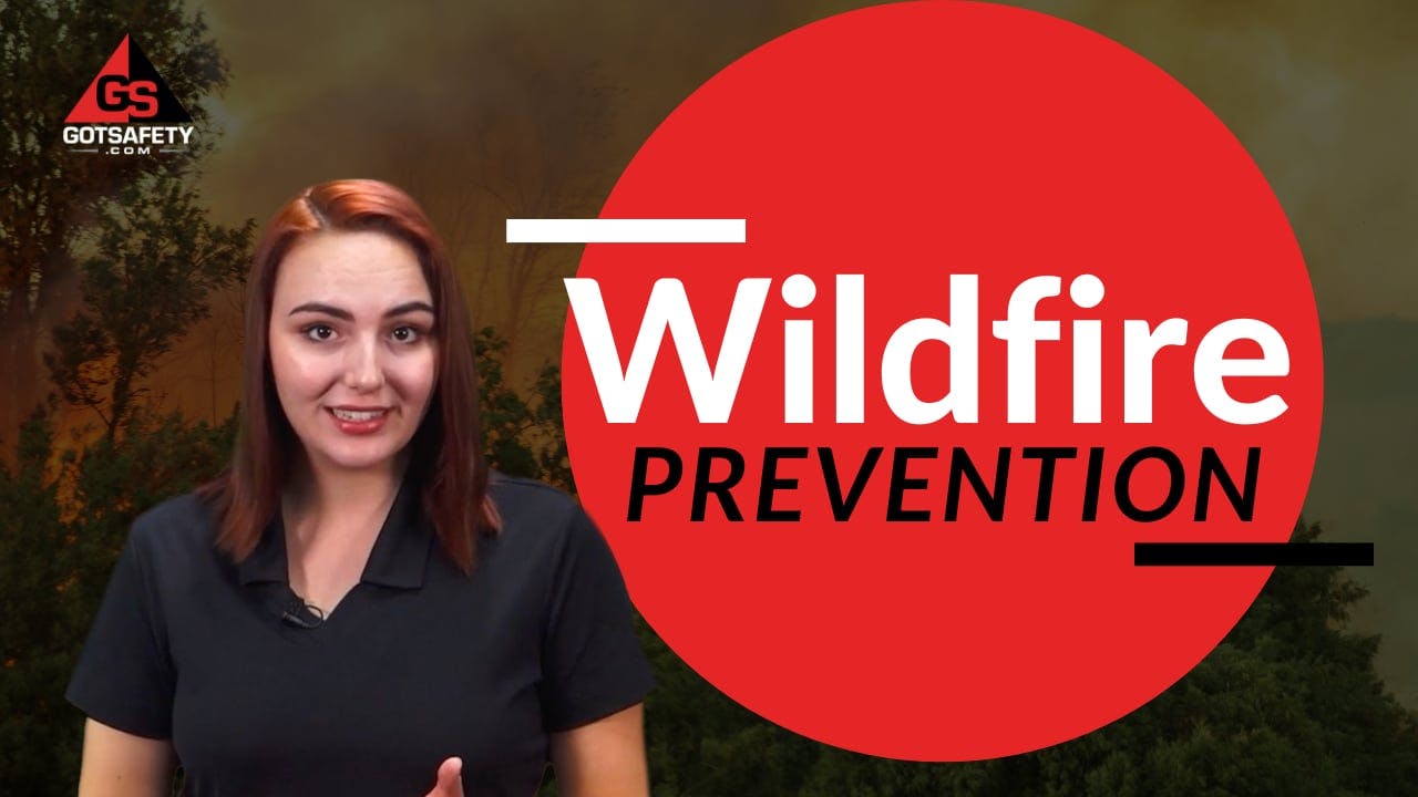 Wildfire Prevention - GotSafety Lite | Safety Video Streaming
