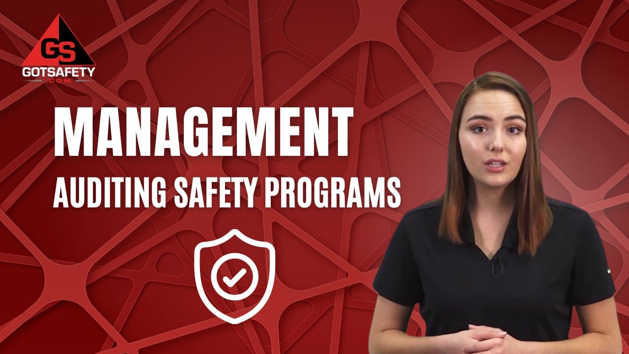 Management: Auditing Safety Programs - GotSafety Lite | Safety Video ...
