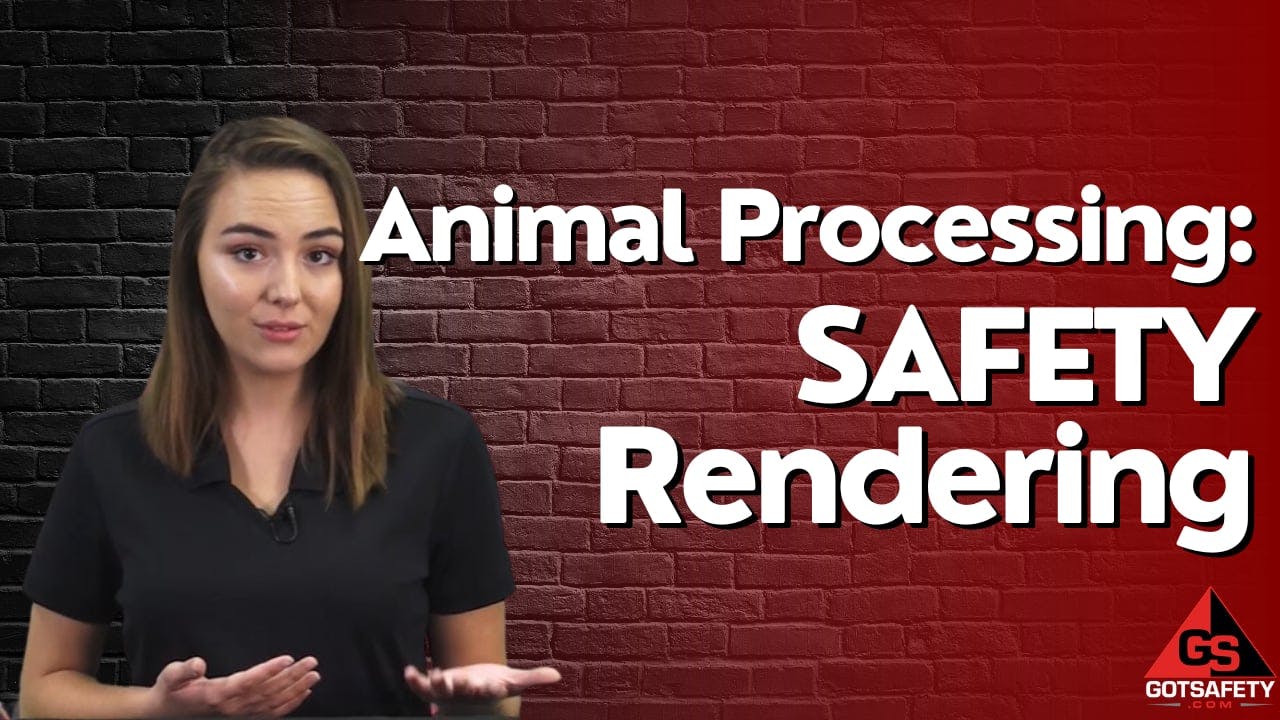Animal Processing Safety: Rendering - GotSafety Lite | Safety Video ...