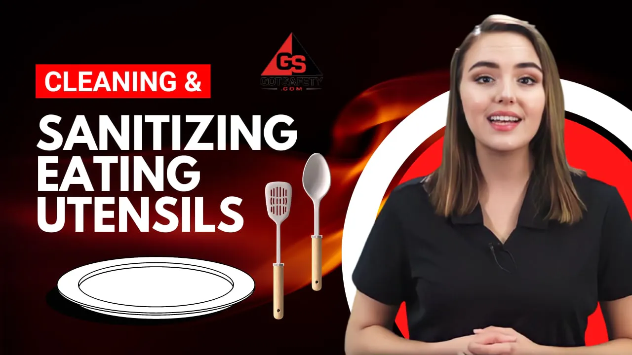 Cleaning and Sanitizing Eating Utensils - GotSafety Lite | Safety Video ...