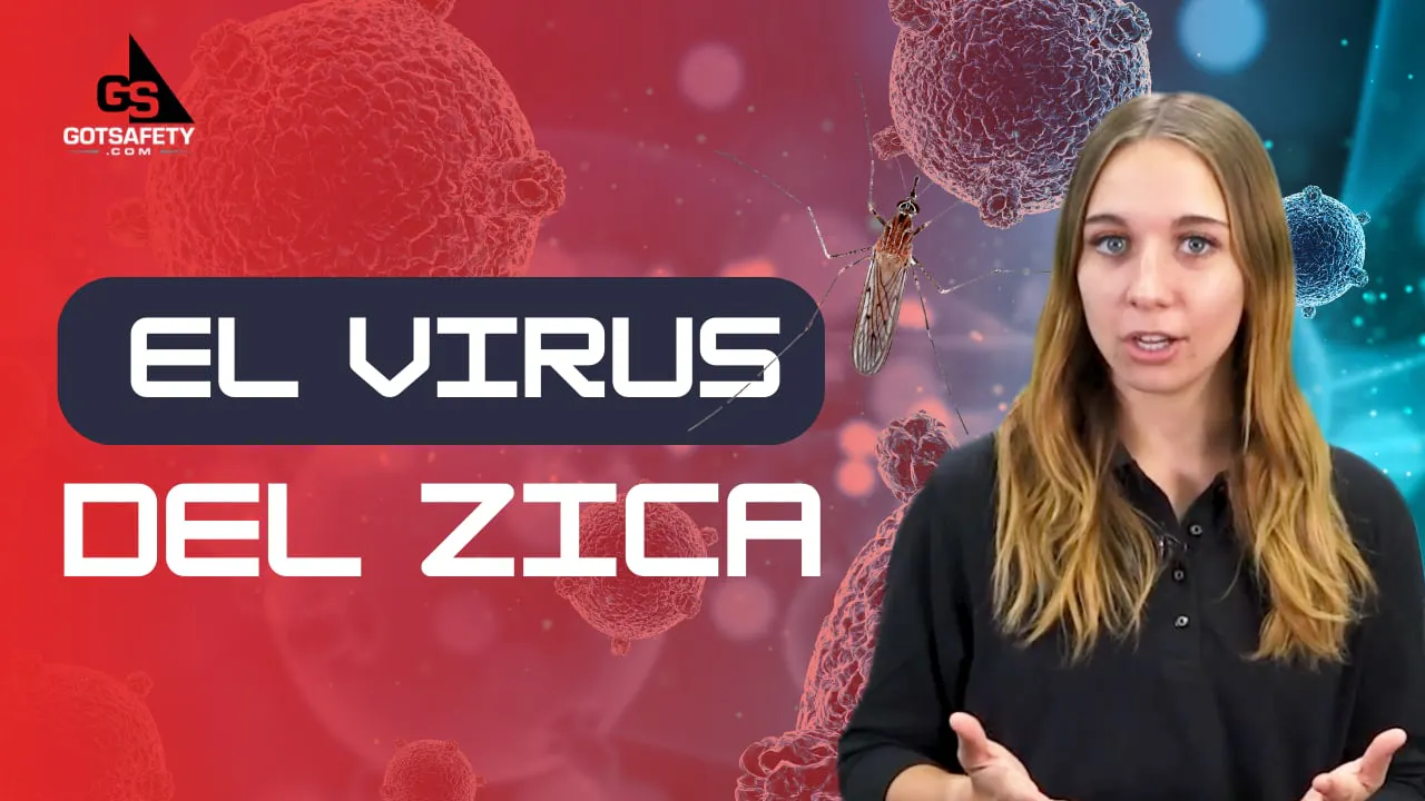 Zika Virus Sp Gotsafety Lite Safety Video Streaming